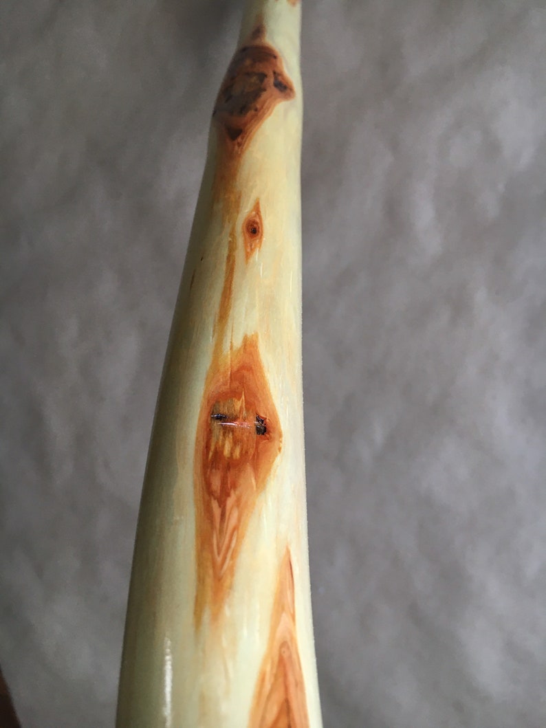 Diamond Willow Walking Stick - Etsy