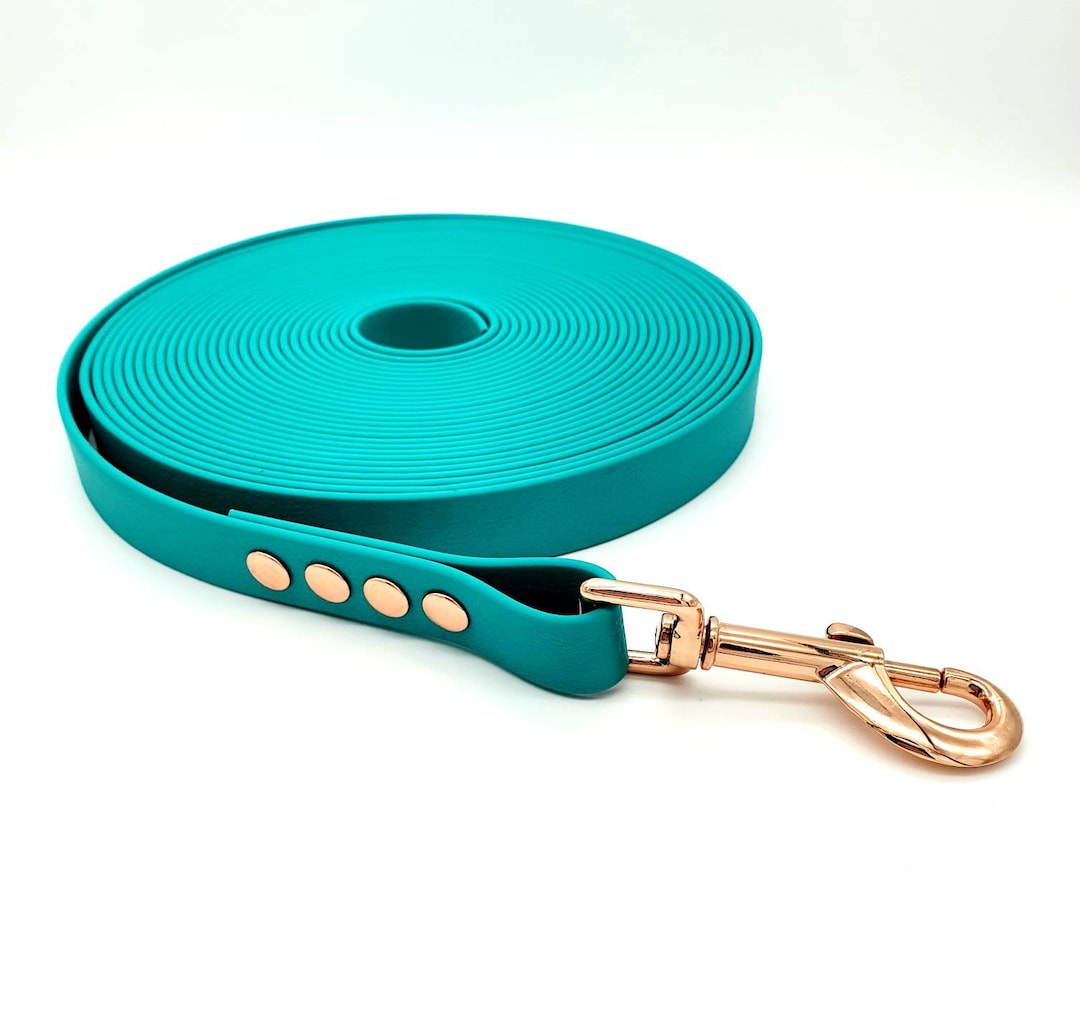 Waterproof Dog Long Line Lead without Handle I for Trailing - Etsy