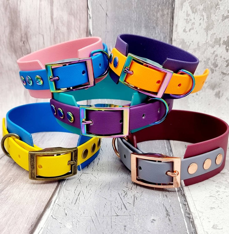 Premium Biothane® Waterproof Two-coloured Sighthound Collar I - Etsy UK