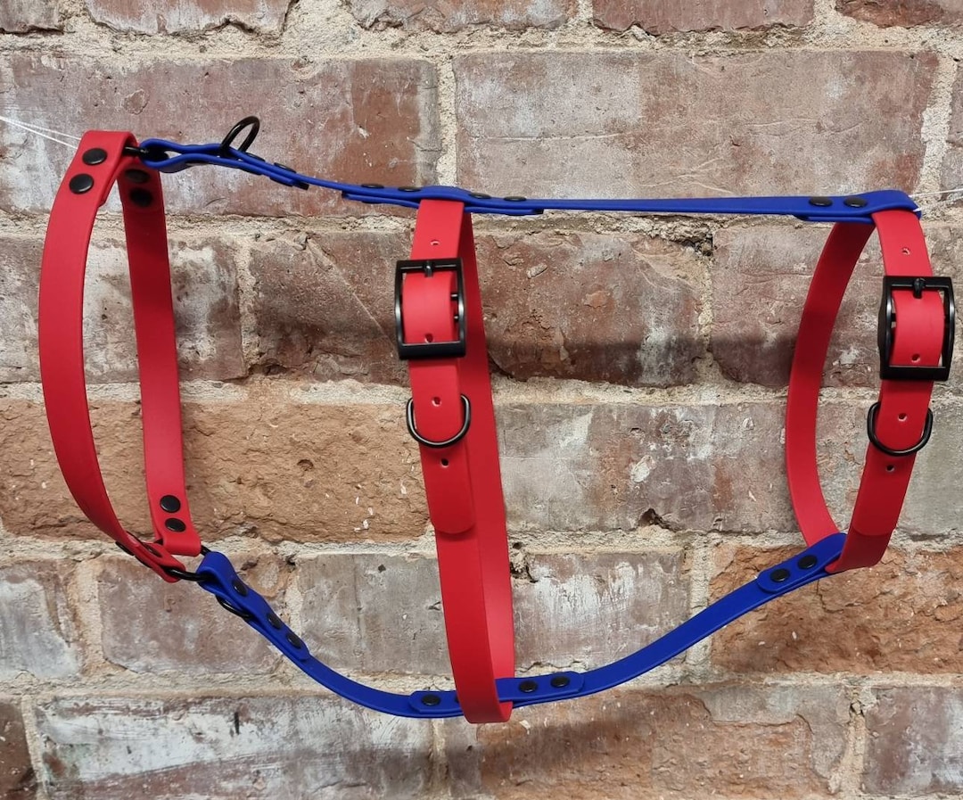 Houdini Harness - Premium Waterproof Biothane® Dog Harness I Anti ...