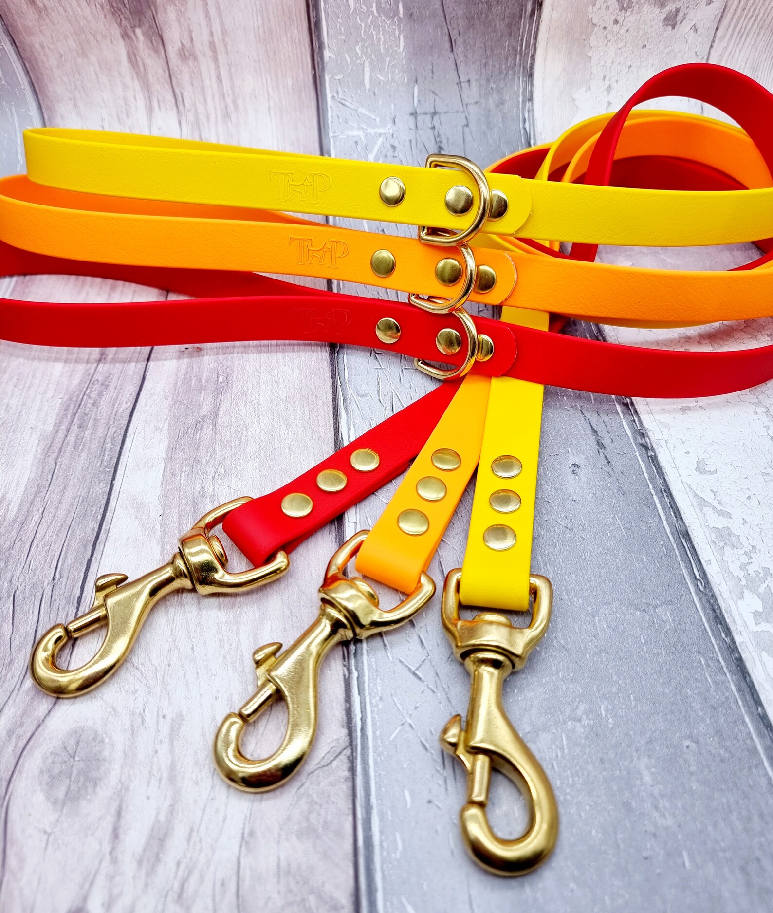 Premium Biothane® Waterproof Dog Lead I Design Your Own I Made - Etsy