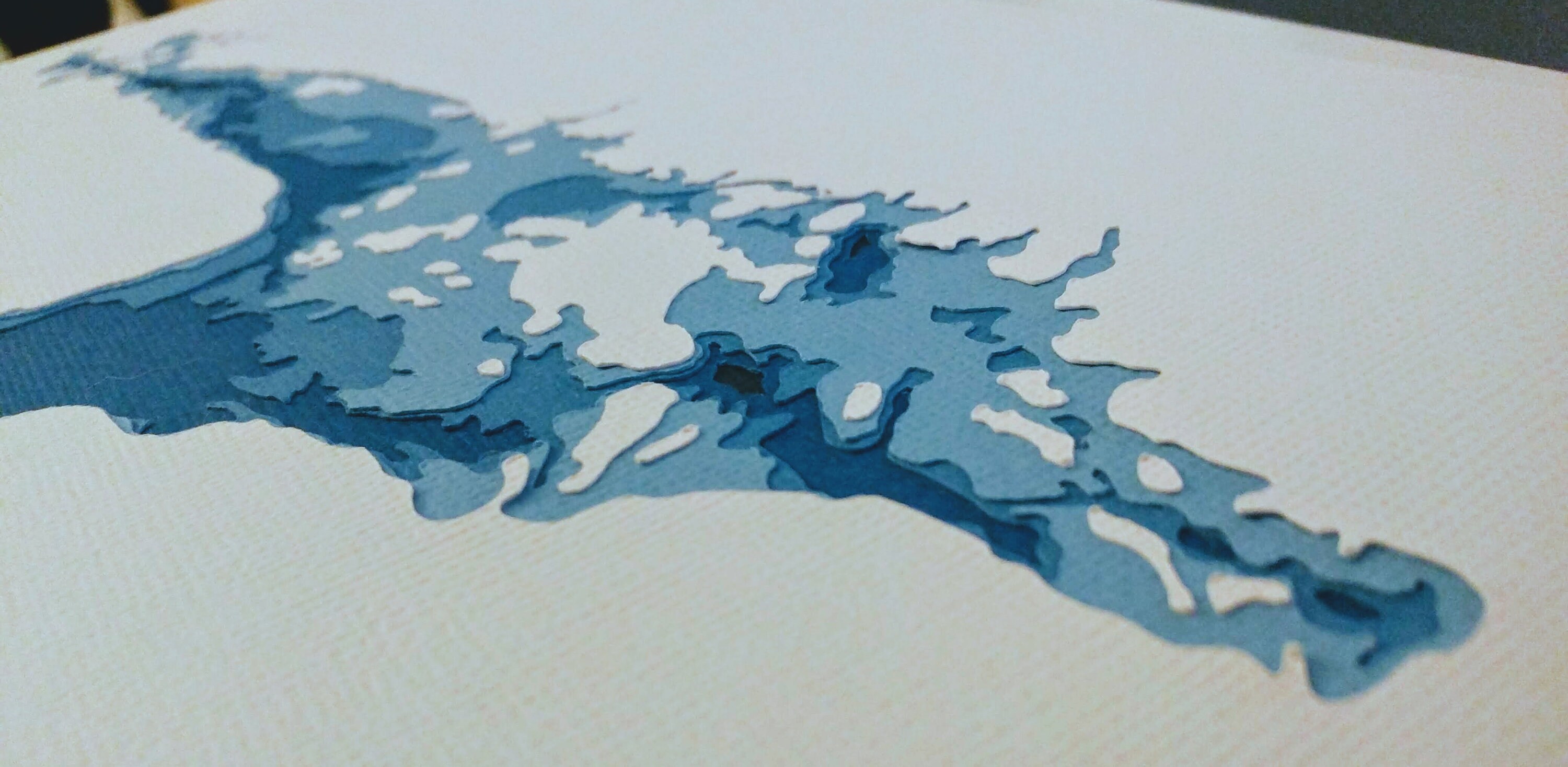 Lower Buckhorn Lake 9x12 Papercut Bathymetric Map - Etsy