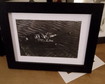 WW2 Framed Prints From an Old Book - Etsy