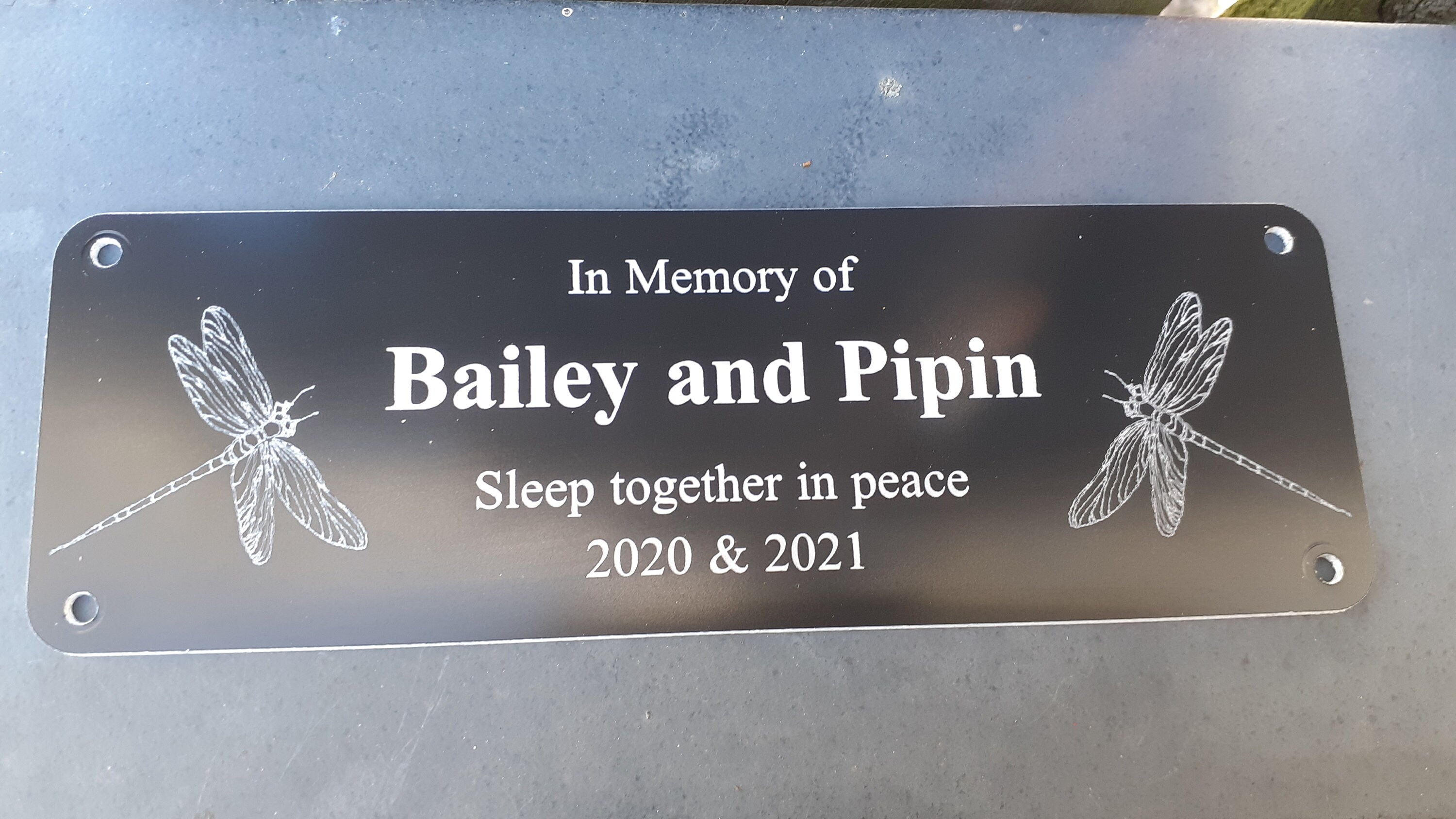 Memorial Engraved Bench Wall Plaques Personalised - Etsy UK