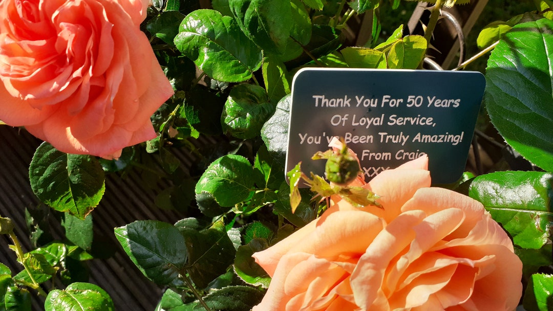 Personalised Acrylic Rose Plant Markers - Etsy