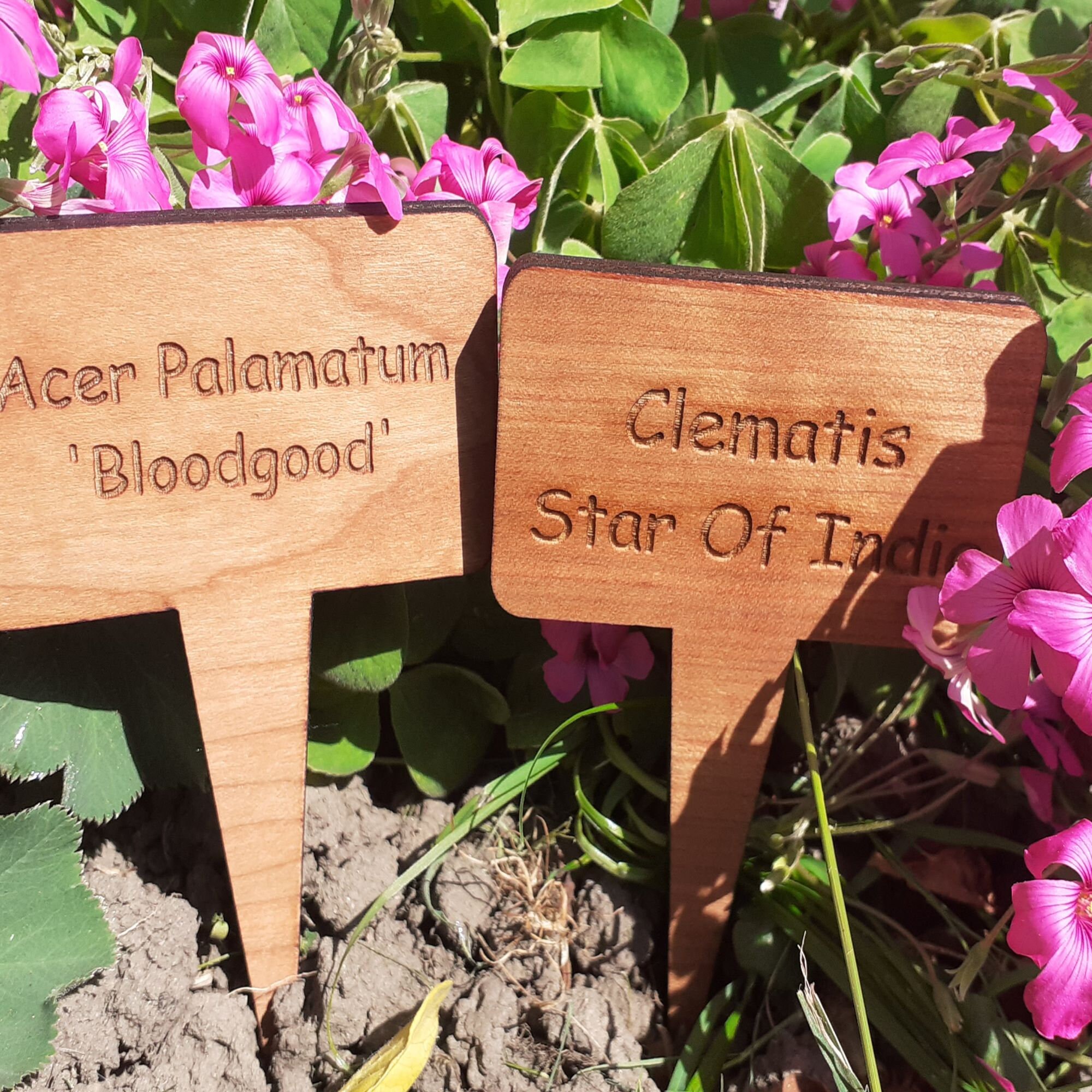 Personalised Plant Markers for Roses Pots Herb | Etsy