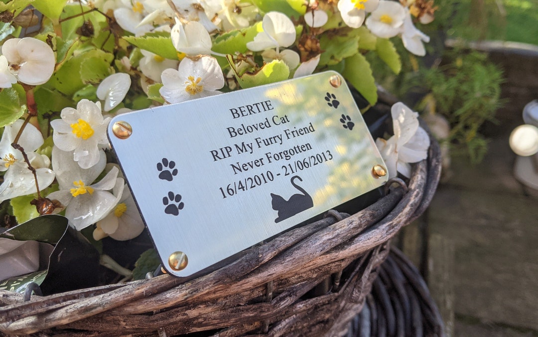 Memorial Engraved Cat Plaques 4" X 2" - Etsy