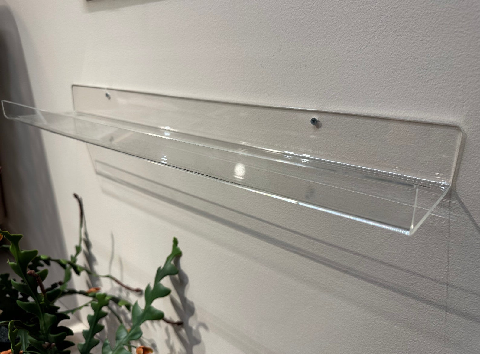 Stunning Clear Acrylic Shelfs - Perfect for Plants, Photos, Books, and ...
