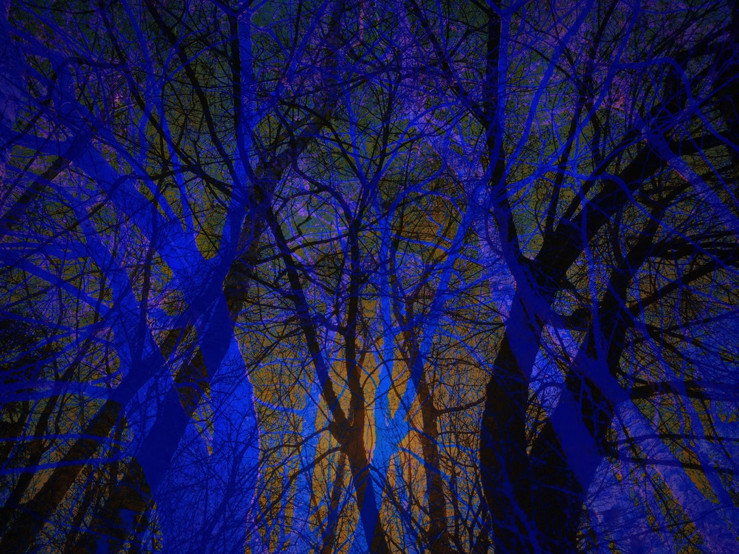 Silenes, Contemporary Art Photography by Catherine Désirée, in Numbered ...