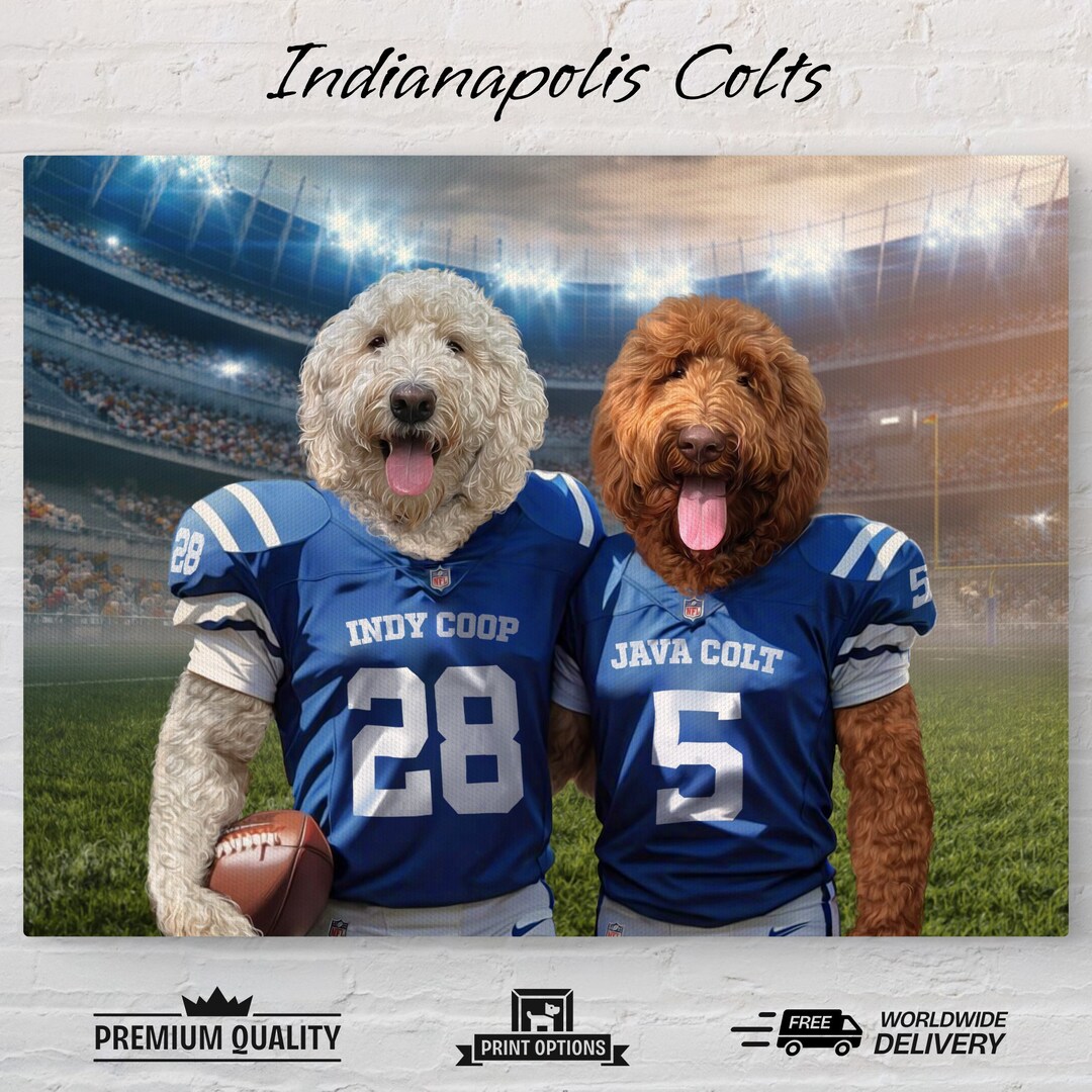 Indianapolis Football Custom Pet Portrait, NFL Pet Team, Football Lover ...