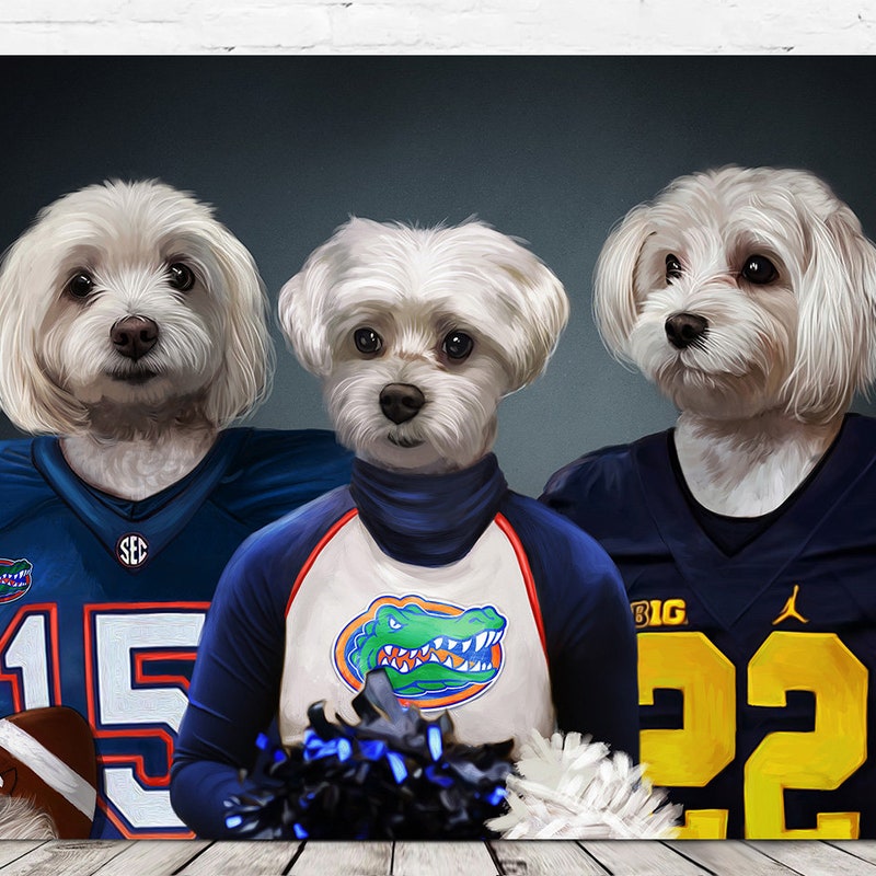 Florida Gator Dog - Etsy