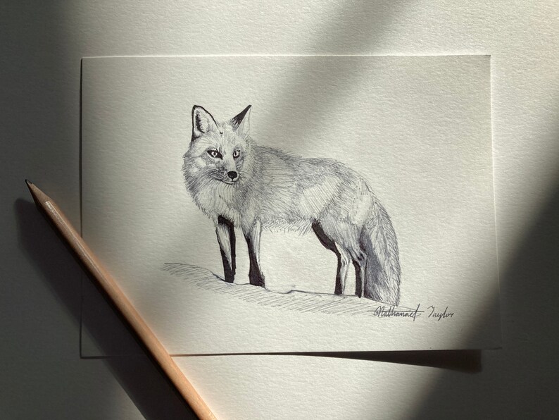Pen and Ink Fox Original Sketch Decorative Art Piece - Etsy