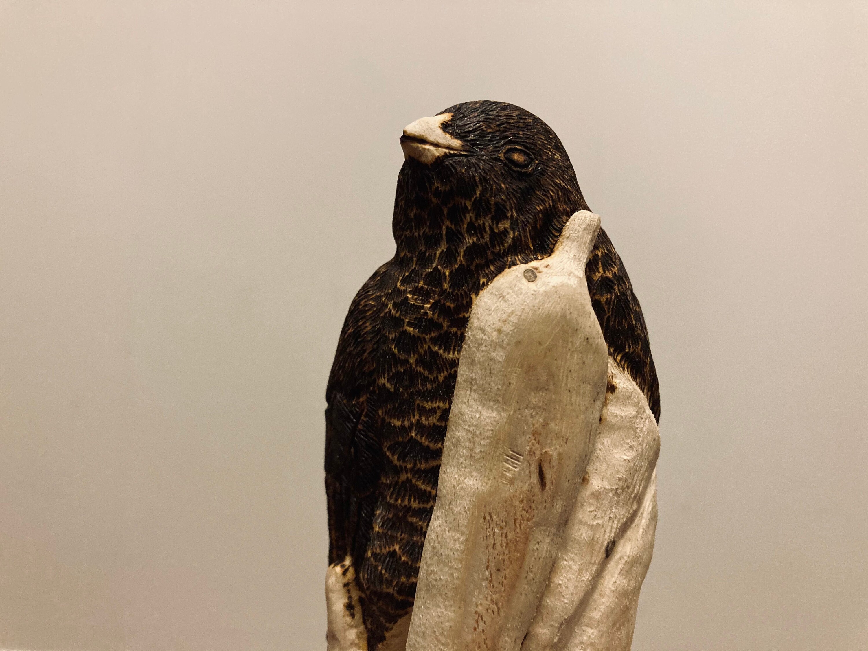 Realistic bird carving Red wing blackbird and dragonfly | Etsy