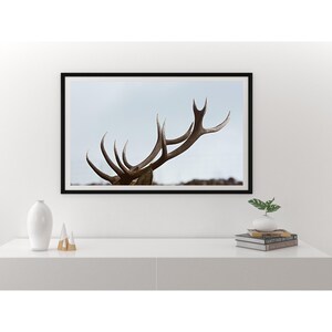 Antler Print - Etsy