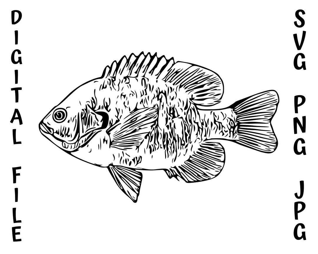 FISH, bluegill, panfish, pan fish svg, png, jpg, cut file, digital ...