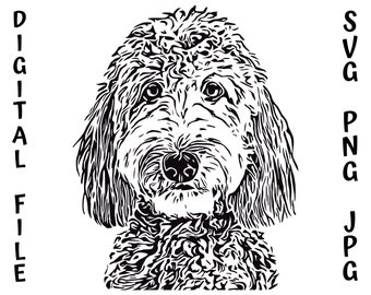 Art & Collectibles Silhouette Sheepadoodle Cricut Goldendoodle svg SVG ...