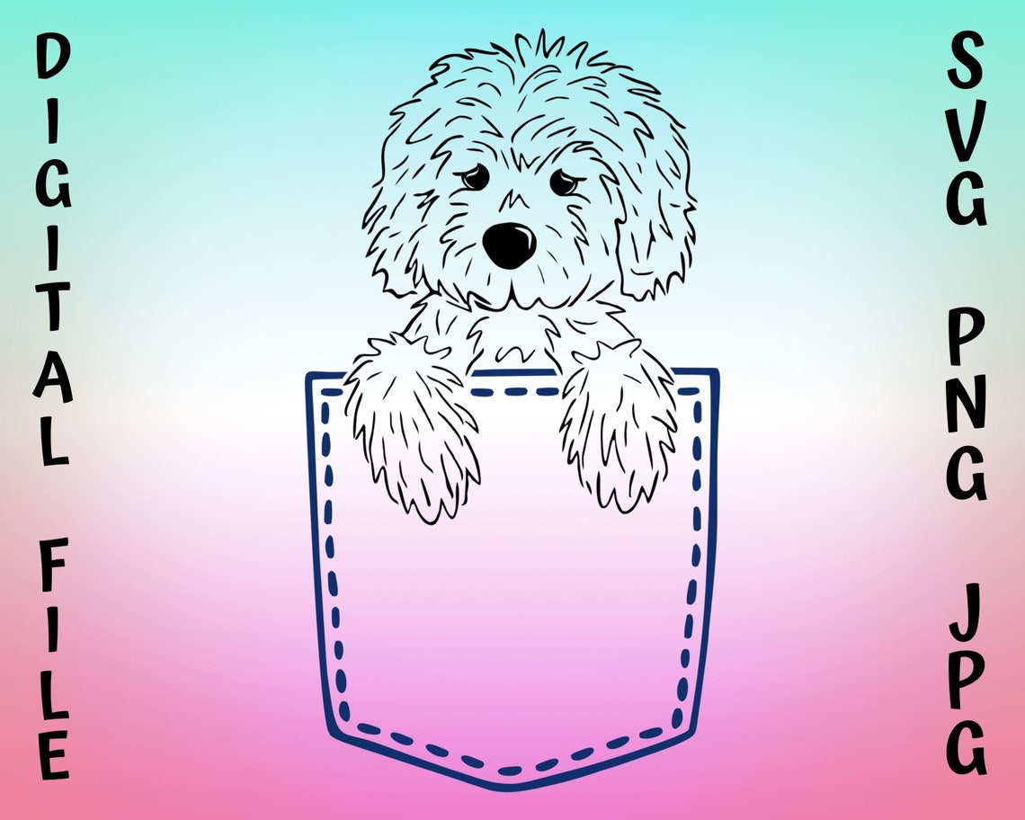 Pocket Doodle Goldendoodle Labradoodle Aussiedoodle Puppy - Etsy