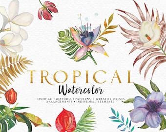 Watercolor Tropical Clipart, Exotic Flowers Clipart - Watercolor Banana ...