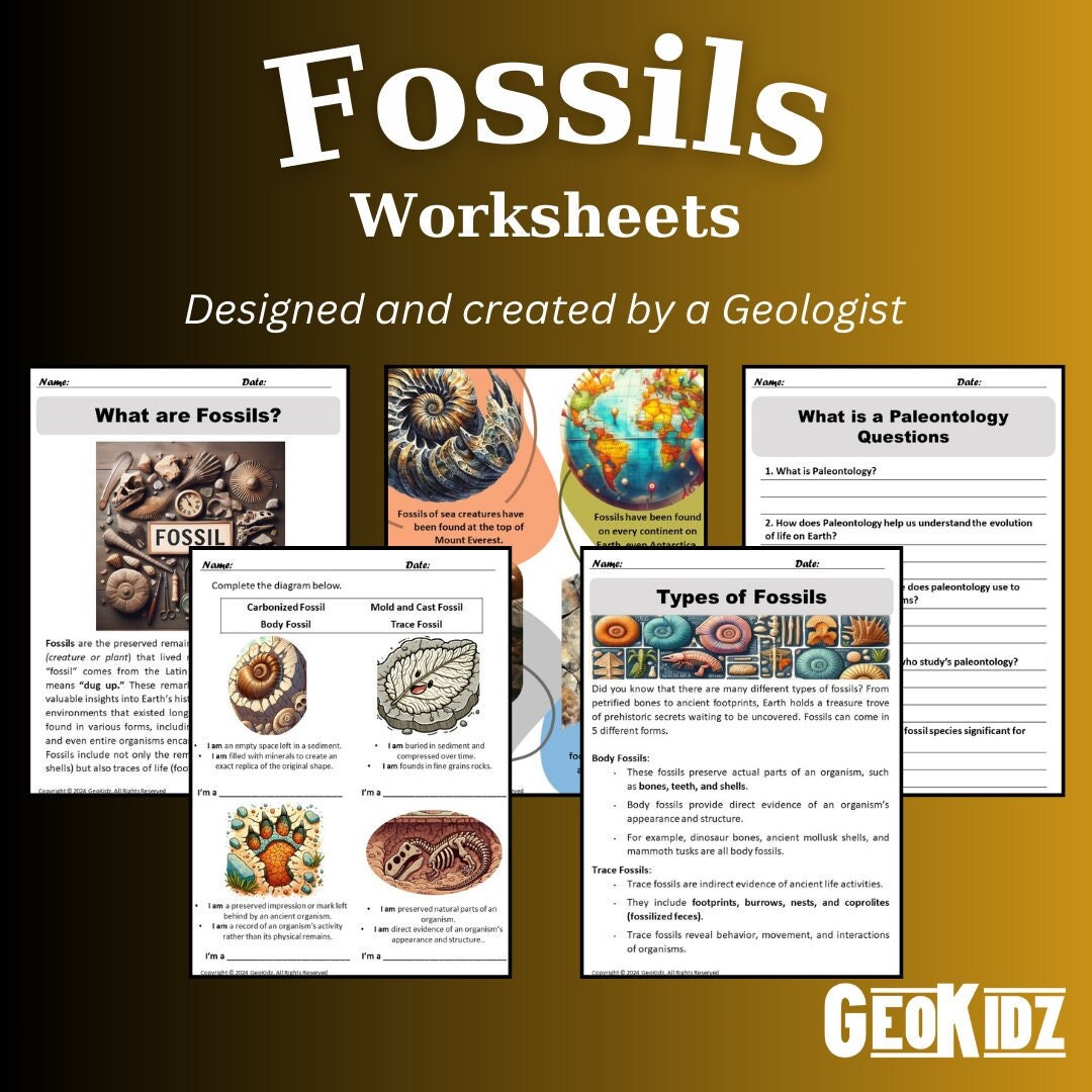Fossils Exploration Worksheet: Unveiling Earth’s Time Capsules - Etsy