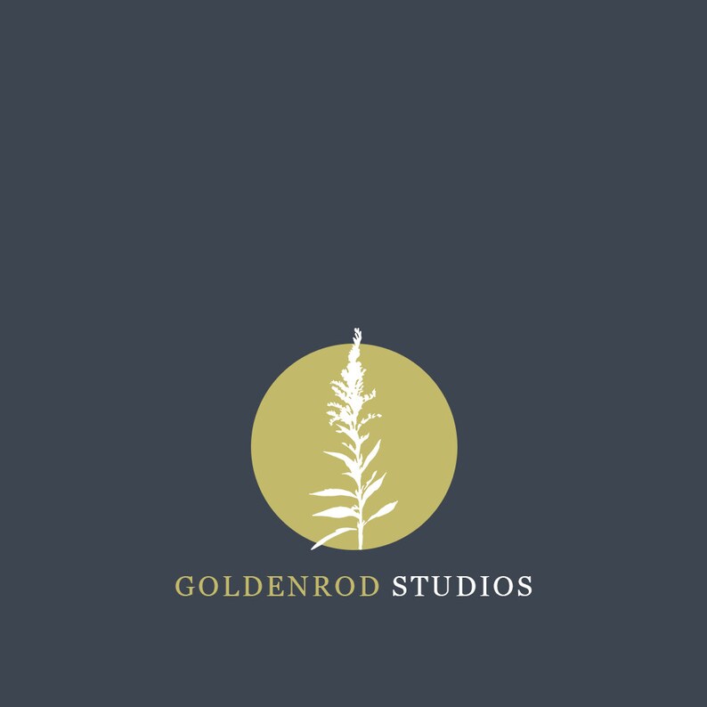 Goldenrod Flower Botanical Drawing Print - Etsy