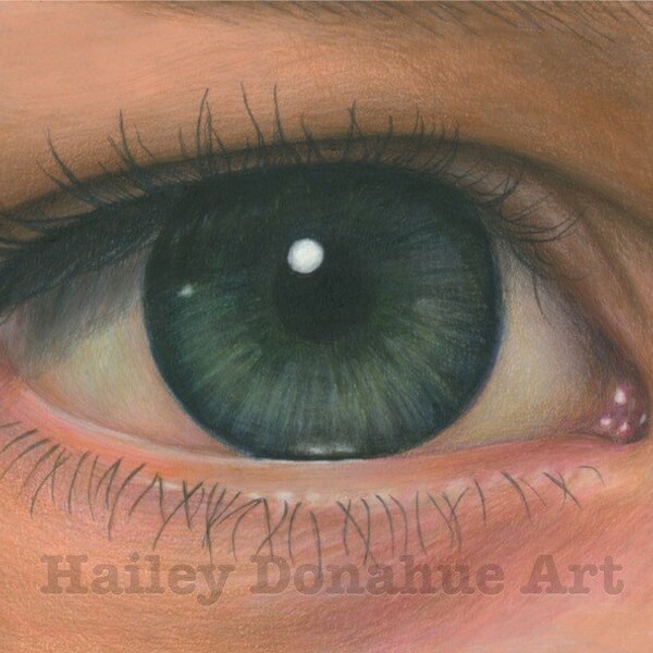 Hyper Realistic Colored Pencil Drawings - Etsy