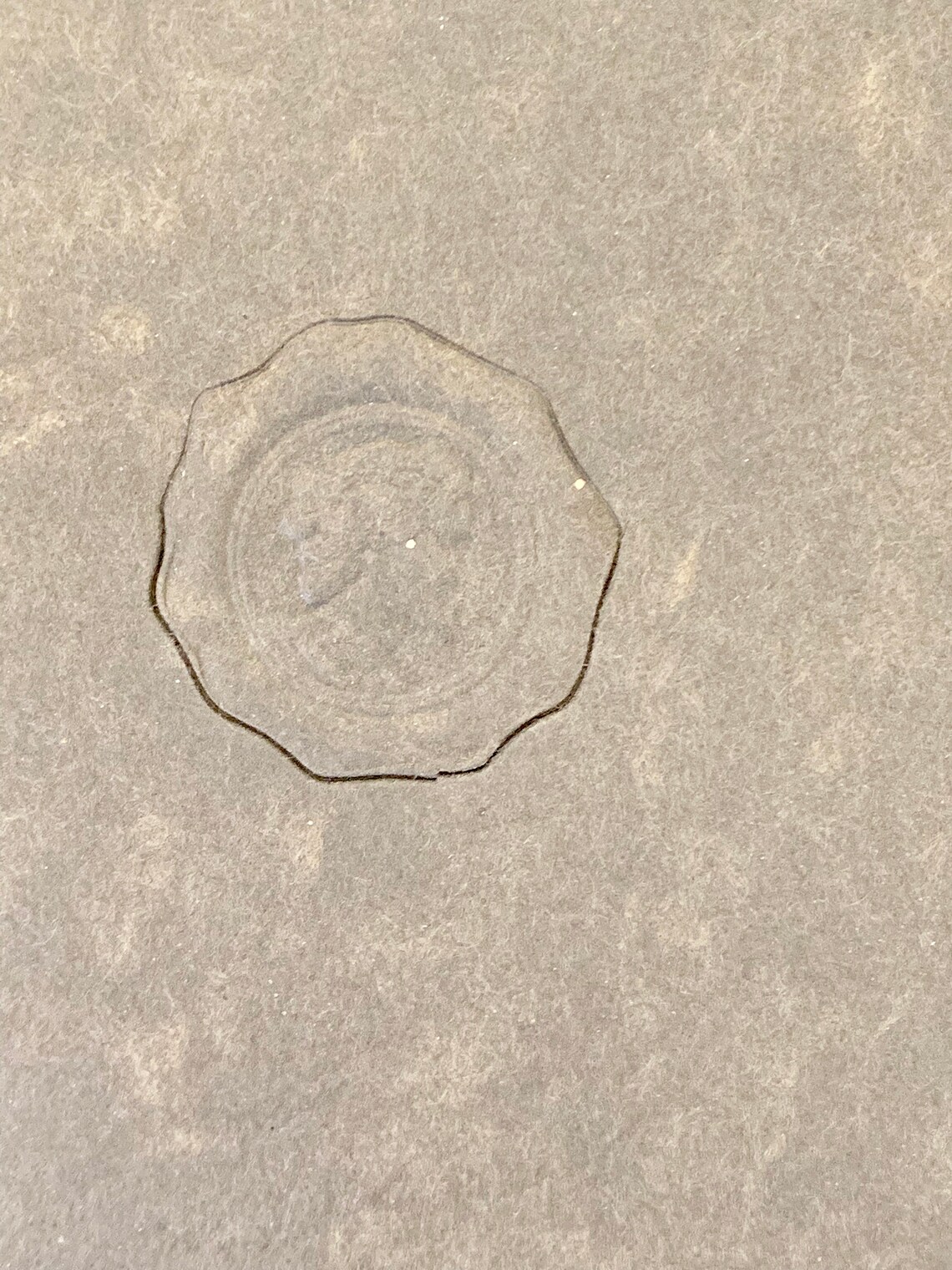 Bushnell Photography San Francisco Vintage Portrait of "doris Marie ...