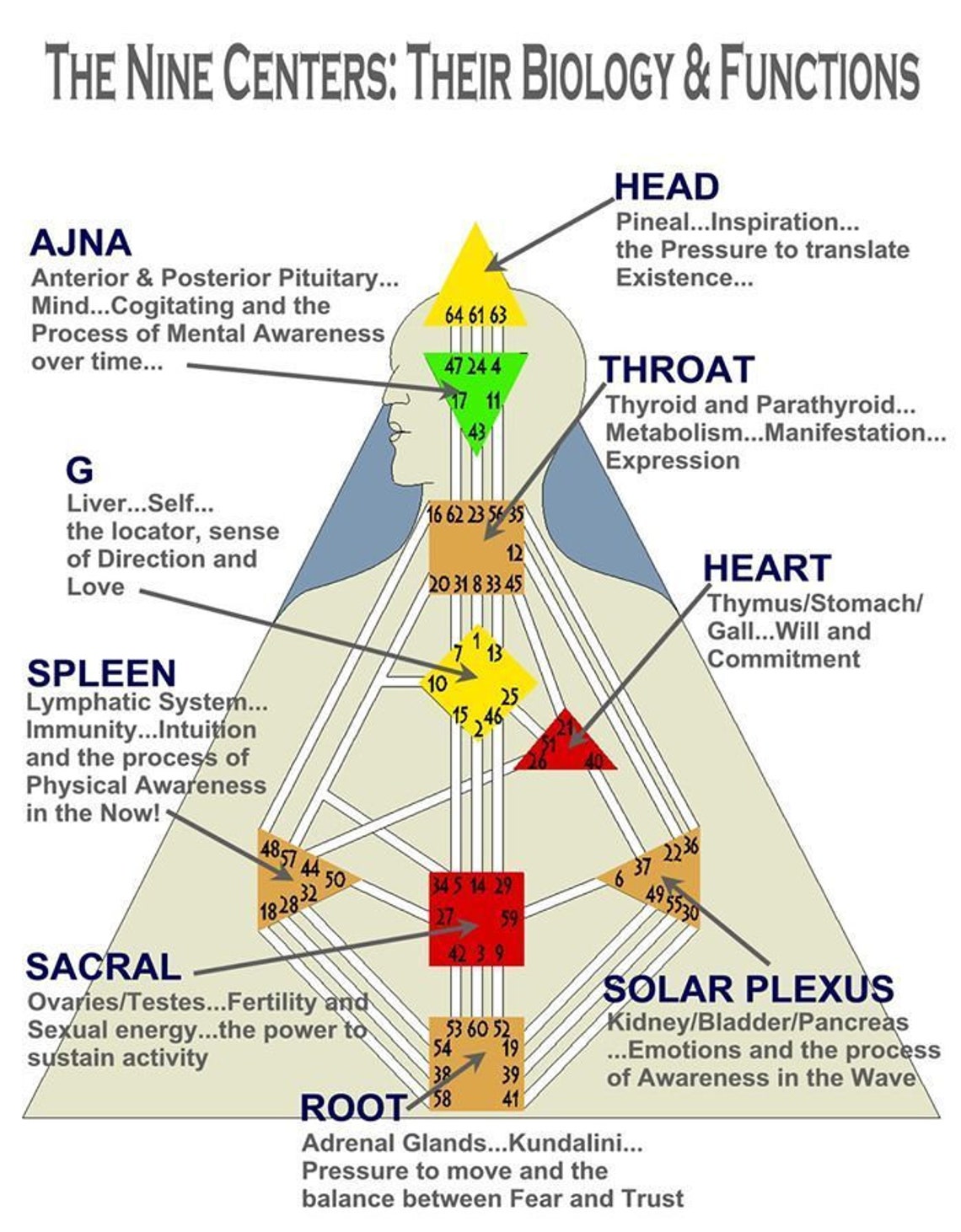 In-depth, Human Design Chart, Includes All Details - Etsy