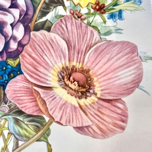 Vintage 1940s Floral Lithograph Print Framed Large Colorful Botanical ...
