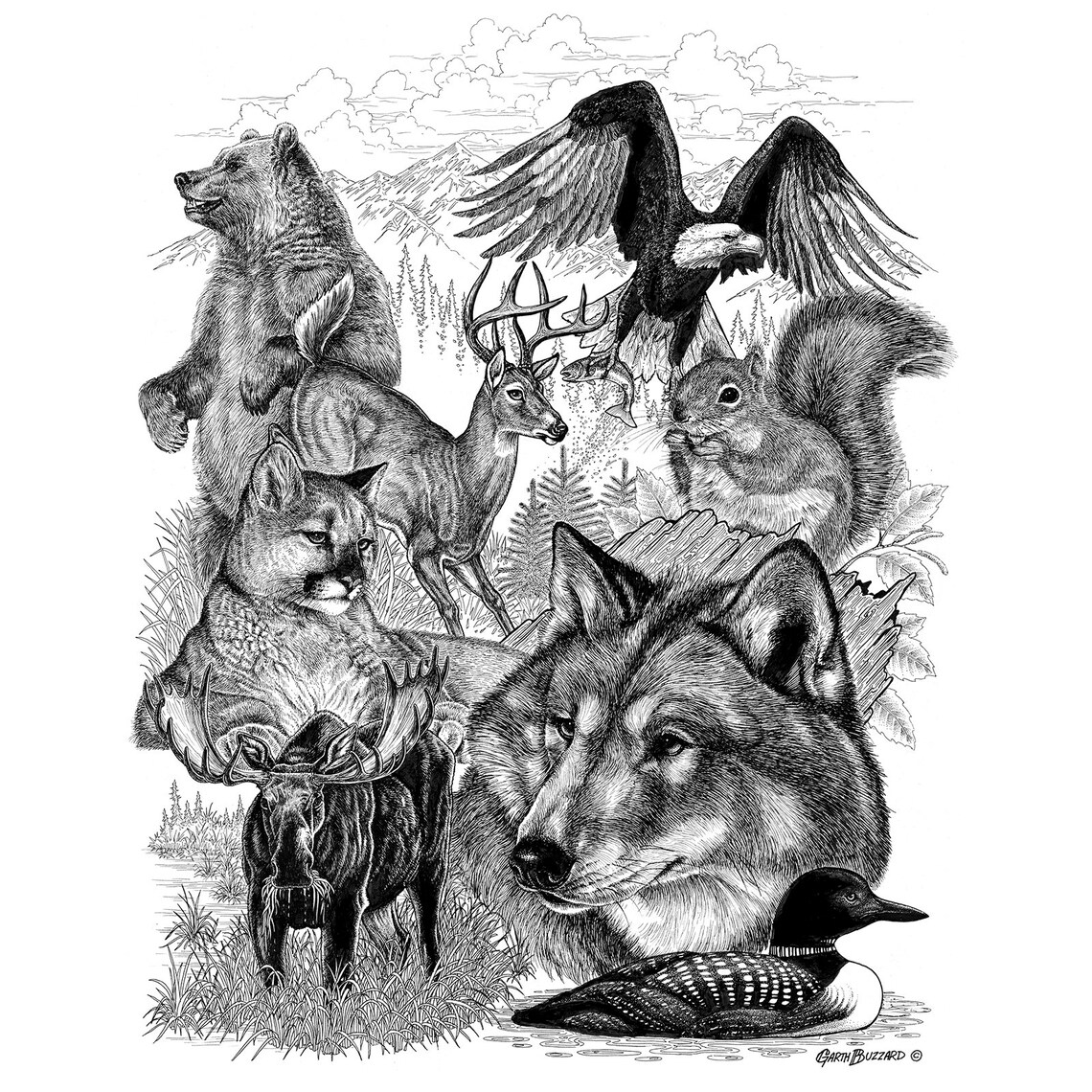 Limited Edition Canadian Wildlife Prints - Etsy