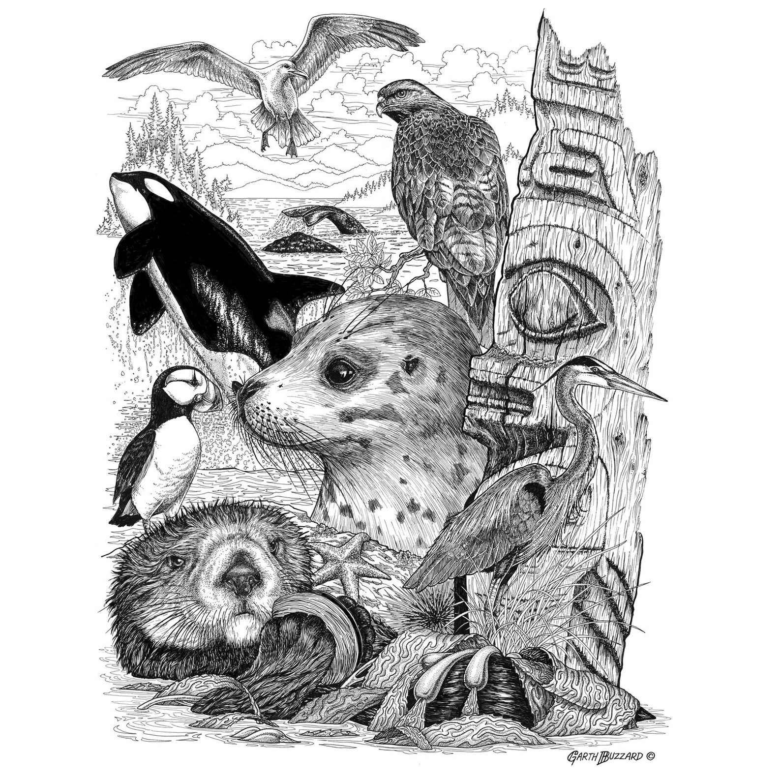 Limited Edition Canadian Wildlife Prints - Etsy