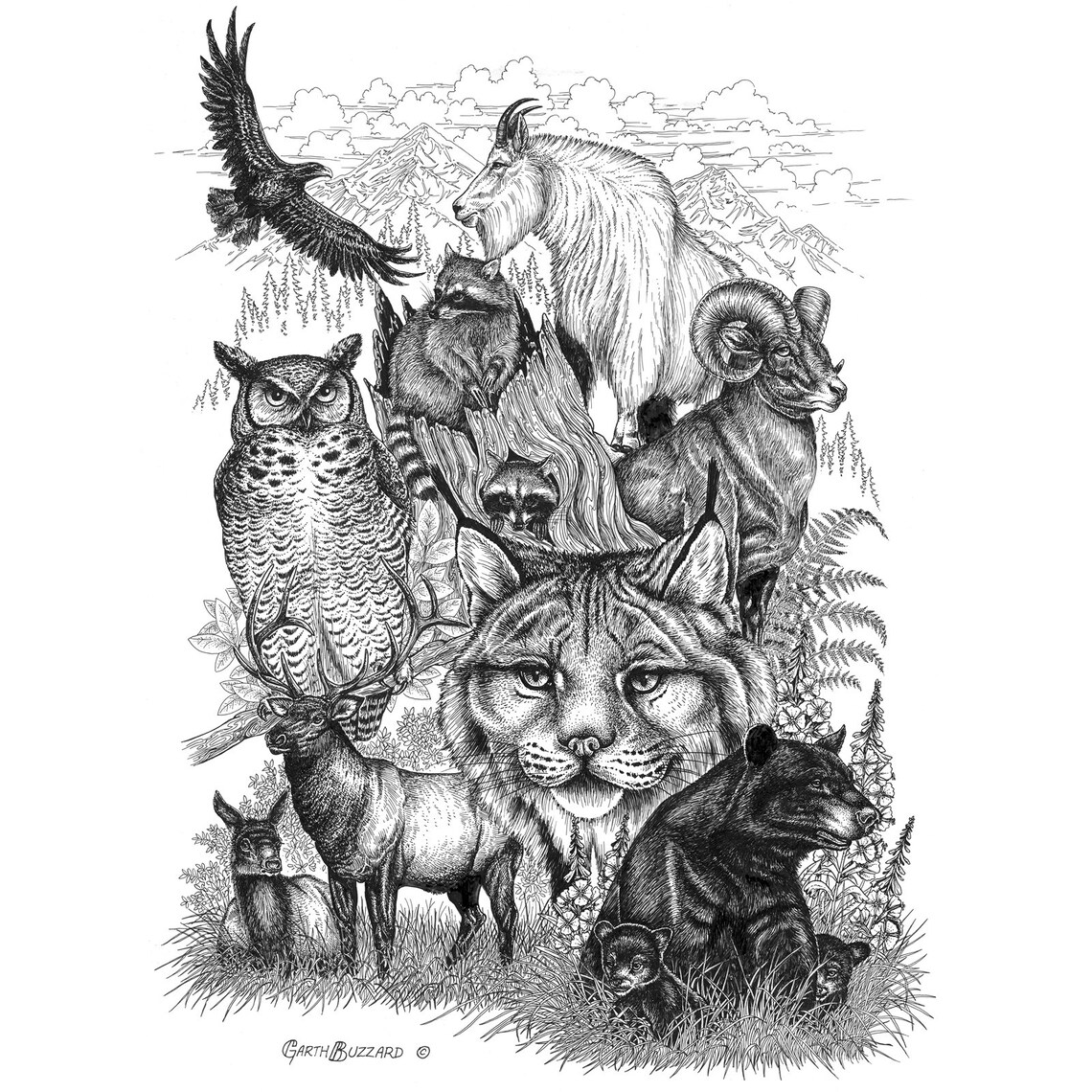 Limited Edition Canadian Wildlife Prints - Etsy