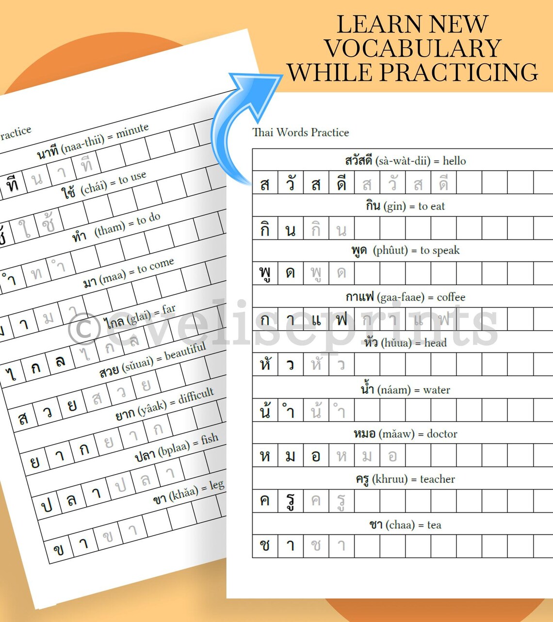 Thai Thai Script/ Alphabet Study Pack Charts & Worksheets | Etsy