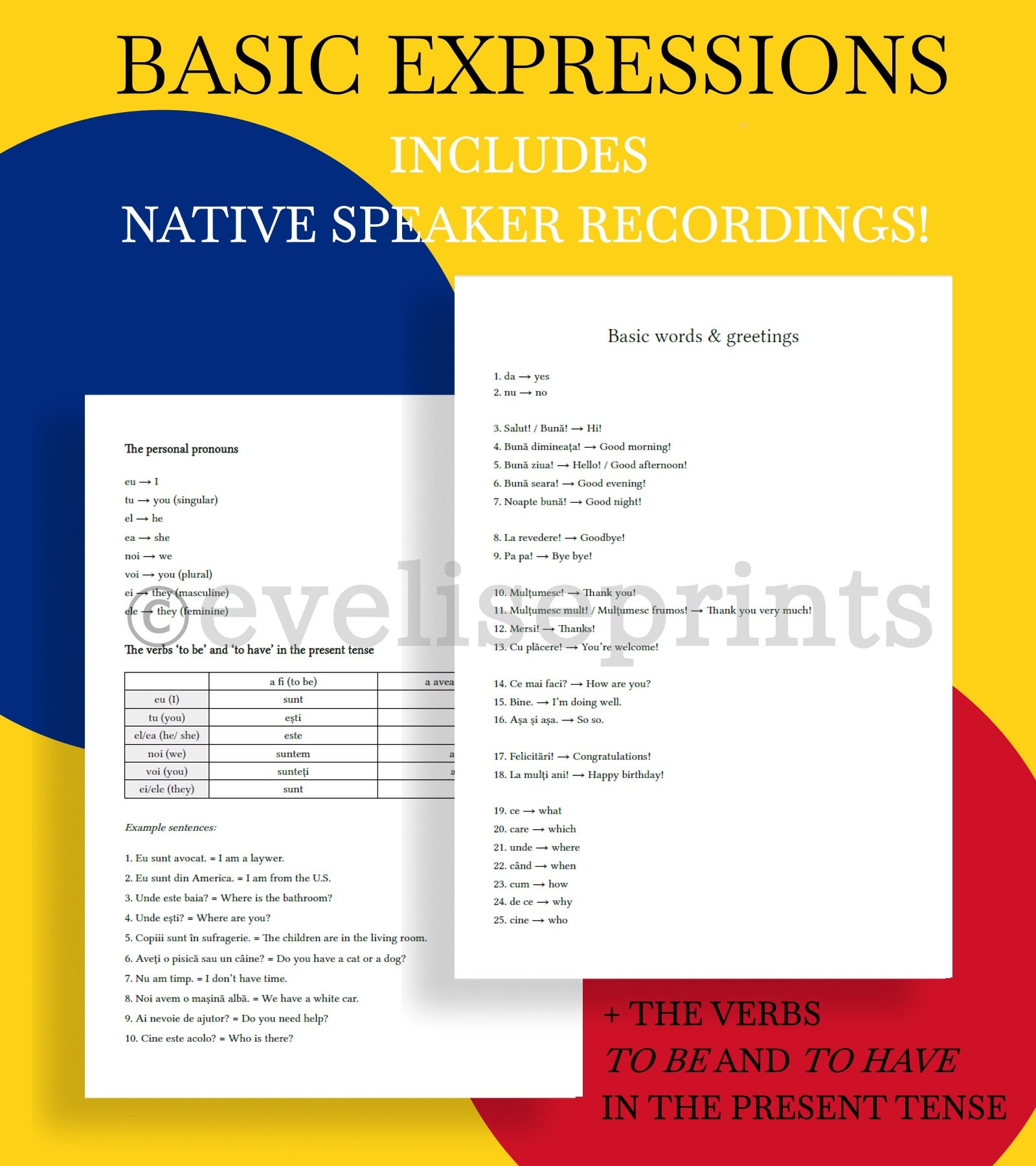 Romanian Romanian Alphabet Study Pack Basic Expressions & - Etsy