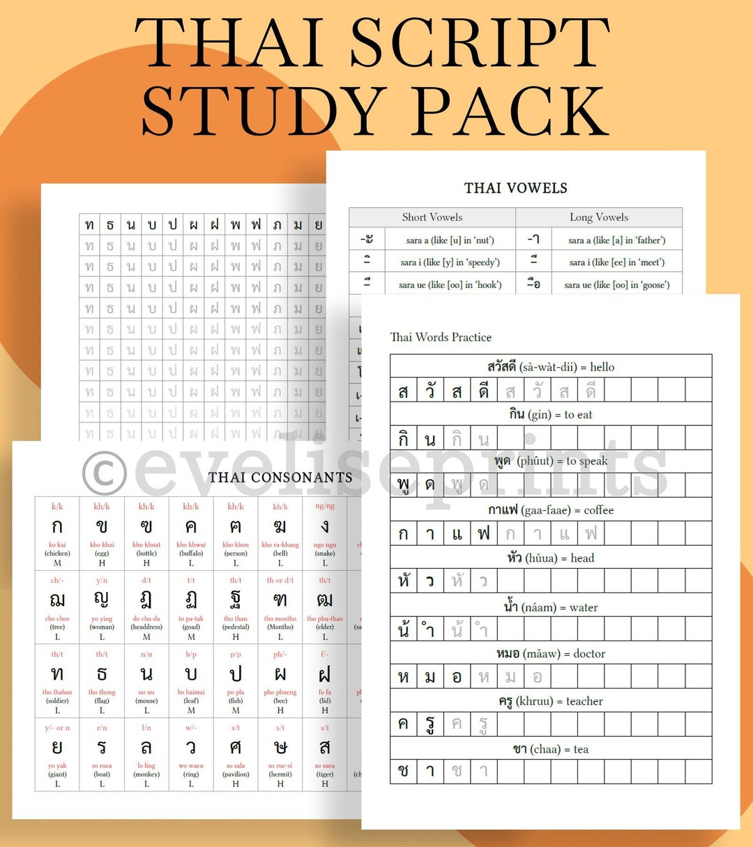Thai Thai Script/ Alphabet Study Pack Charts & Worksheets printable - Etsy