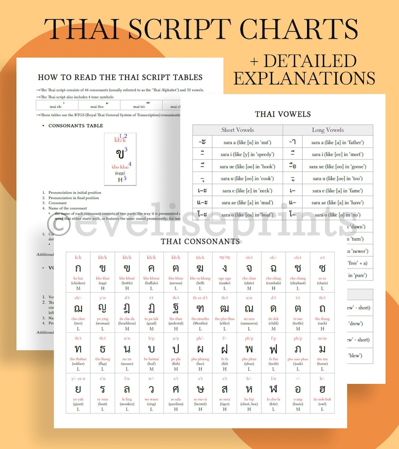 Thai Thai Script/ Alphabet Study Pack Charts & Worksheets printable - Etsy