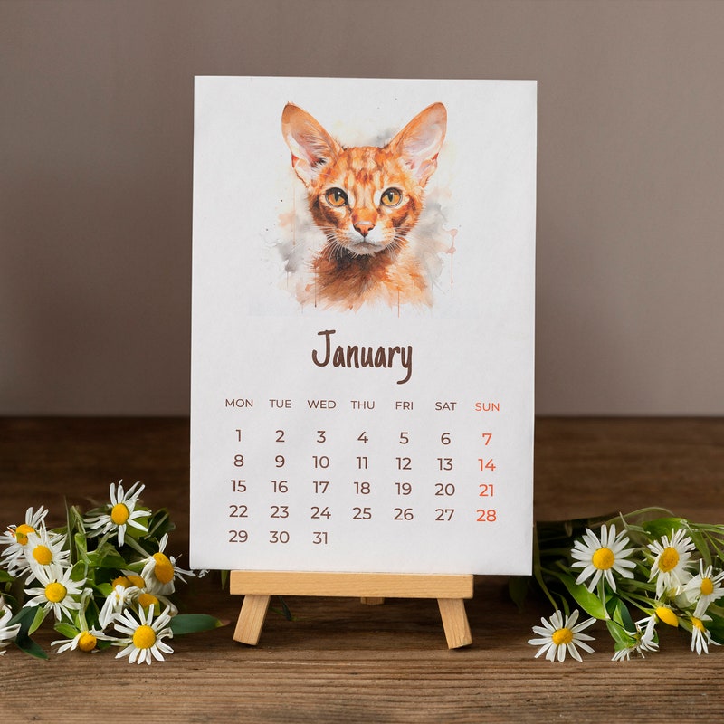 2024 Cat Calendar Desk - Etsy