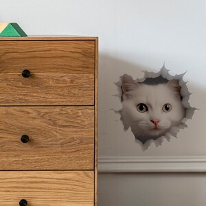 3D Cat Vinyl Wall Sticker Decal for Bedroom, Living Room, and Bathroom ...