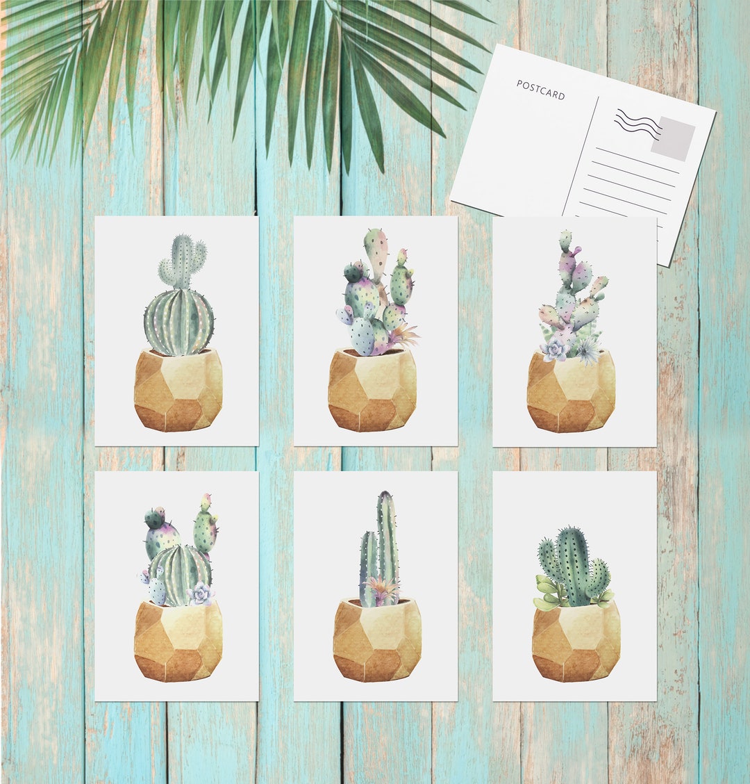 Potted Succulents Note Cards Set of 6 Postcards Postcard Set Paintings ...