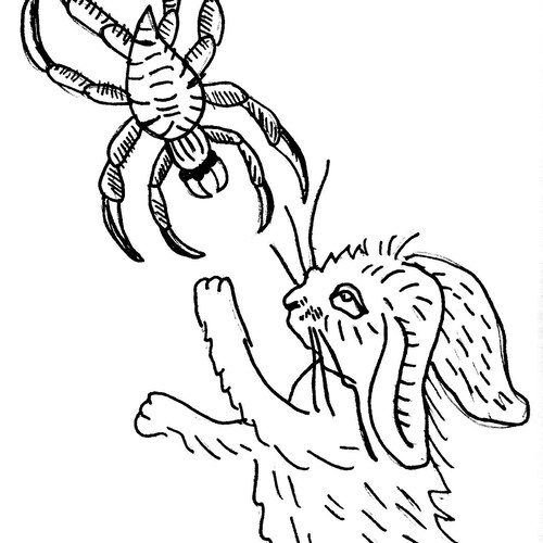 SpiderMotherDesign - Etsy