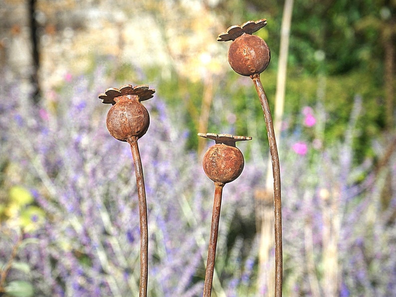 Rusty Metal Poppy Seed Head Sculpture / Garden Art Decoration - Etsy