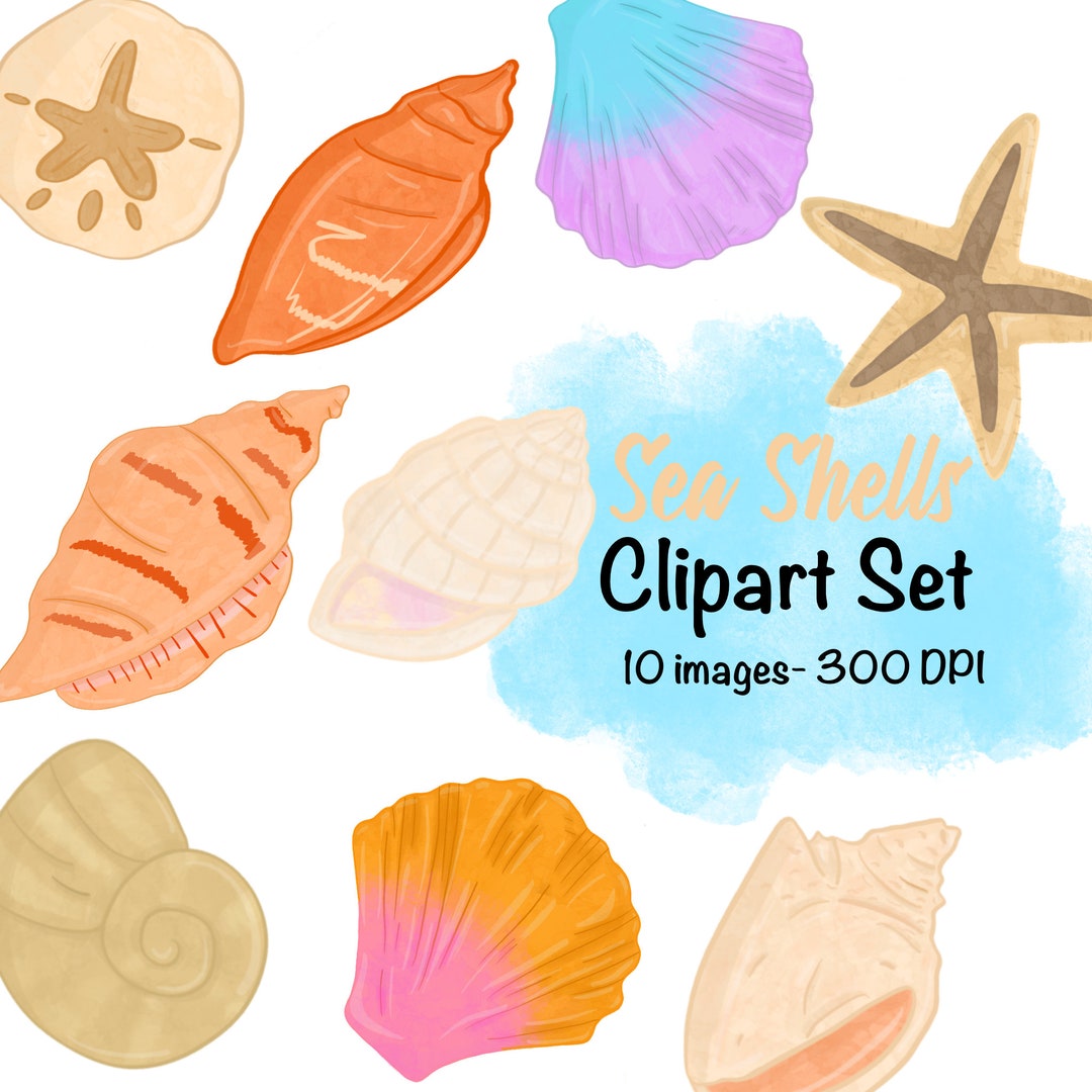 Sea Shell Clipart Set - Etsy