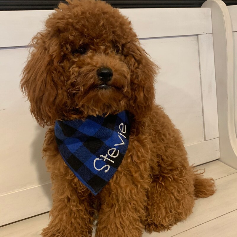 Dog Bandana Christmas Knit - Etsy