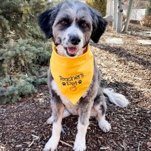 Personalized Dog Bandana: Custom Cotton Pet Scarf - Etsy