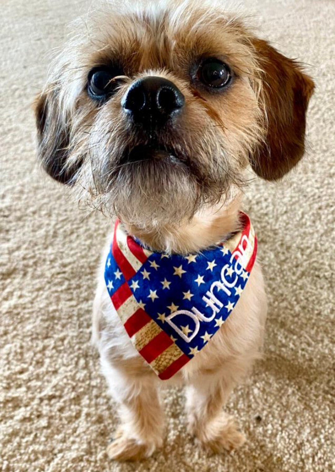 Snap on Dog Bandana | 4th of July Pet Bandana | Red White Blue Bandana ...