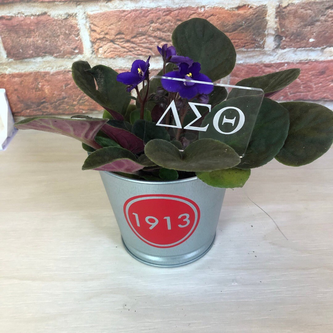 Delta Sigma Theta Sorority Plant Stake | ΔΣΘ | Laser Engraved Clear ...