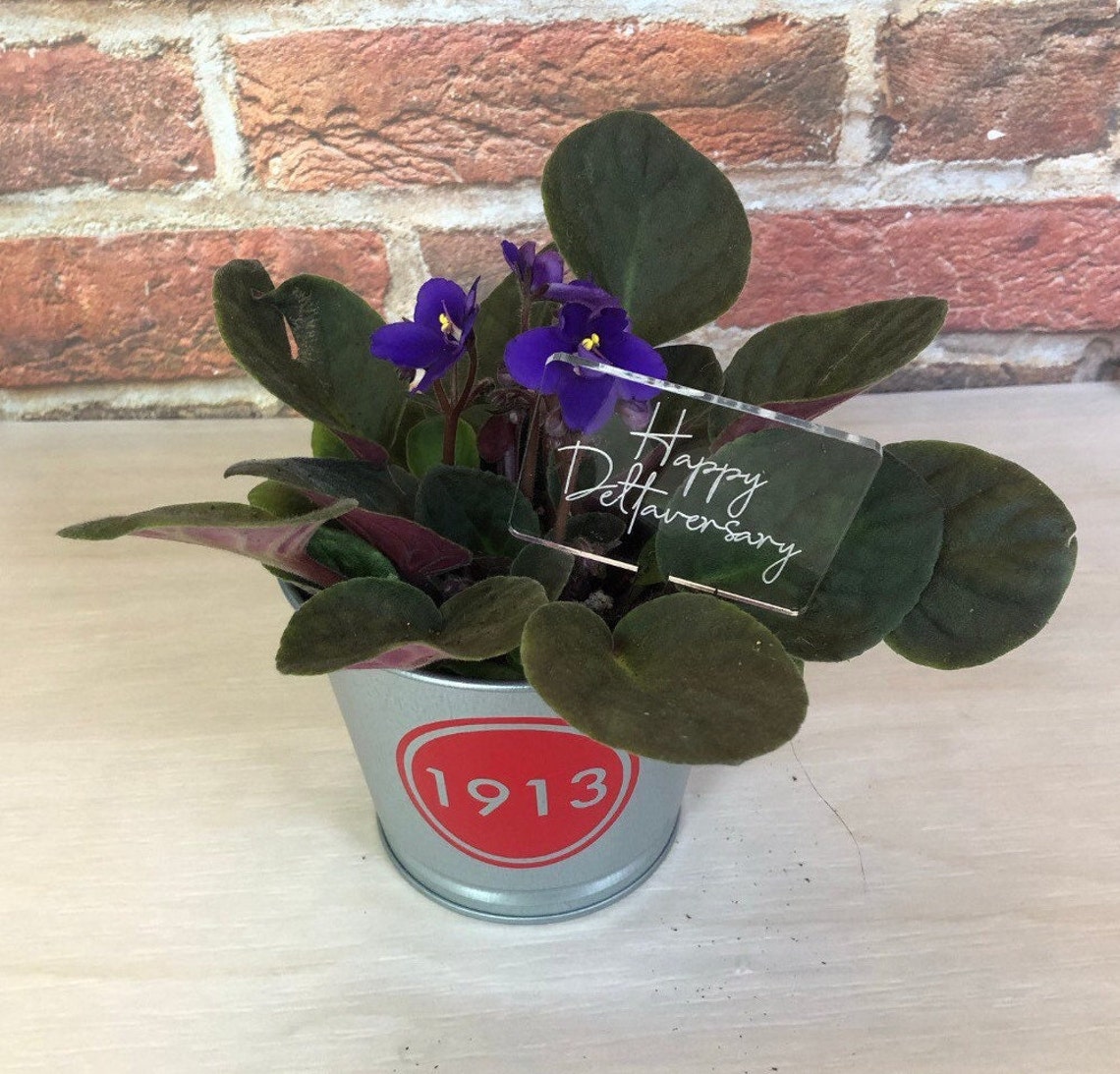 Delta Sigma Theta Sorority Plant Stake | Happy Deltaversary | Laser ...