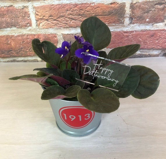 Delta Sigma Theta Sorority Plant Stake Happy Deltaversary - Etsy India