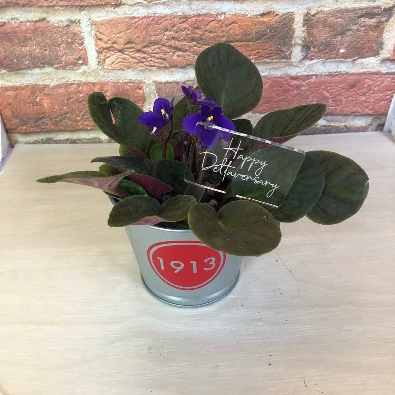 Delta Sigma Theta Sorority Plant Stake Happy Deltaversary - Etsy