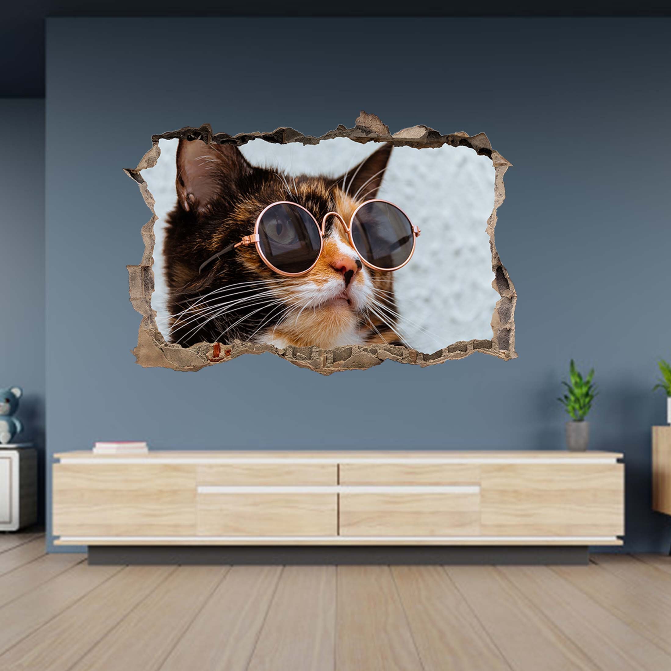 Wall Sticker Cat Wearing Sunglasses 3D Hole in the Wall Effect - Etsy UK