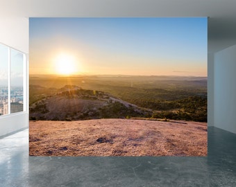 Texas Wallpaper Mural - Etsy